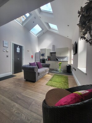 Um apartamento moderno com cozinha estilo loft, um sofá cinzento e um tapete verde.