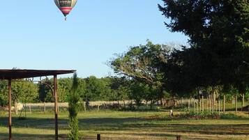 Um balão de ar quente no céu sobre um campo cercado com árvores e uma pérgola.