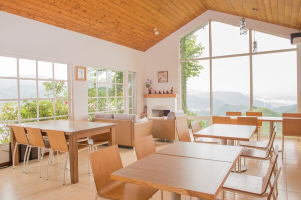 Alishan Tea Garden - Alishan Township
