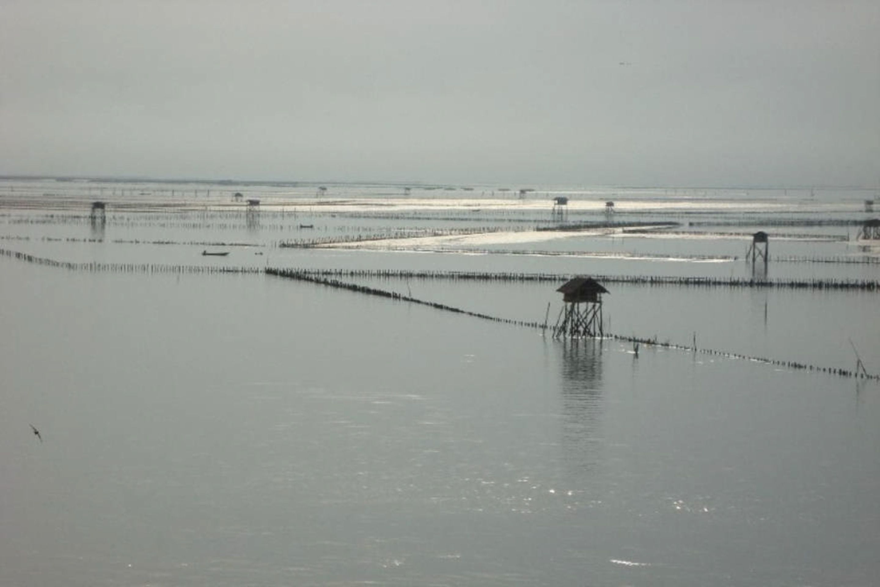 Uma vasta paisagem plana com vários canais de água e estruturas, provavelmente utilizada para agricultura ou aquicultura.