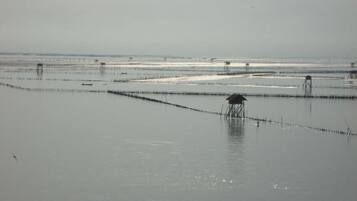 Uma vasta paisagem plana com vários canais de água e estruturas, provavelmente utilizada para agricultura ou aquicultura.