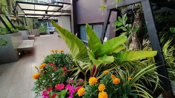 Vista para o jardim