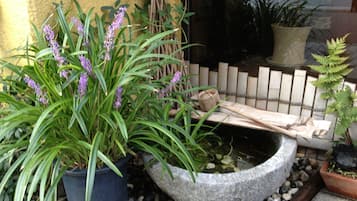 Jardim