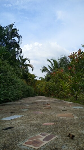 Vista do alojamento