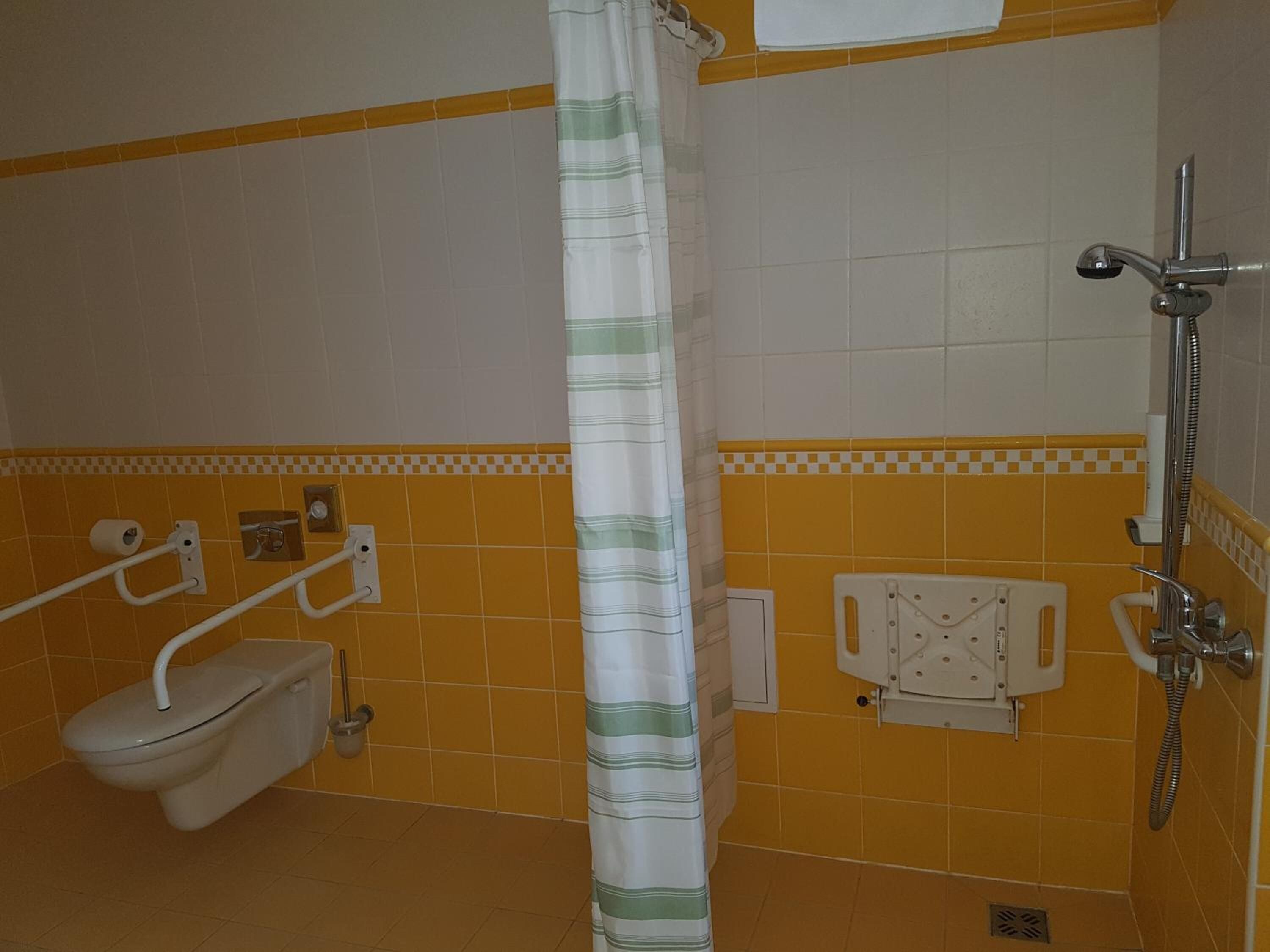 Casa de banho com sanita, chuveiro e um porta-toalhas.