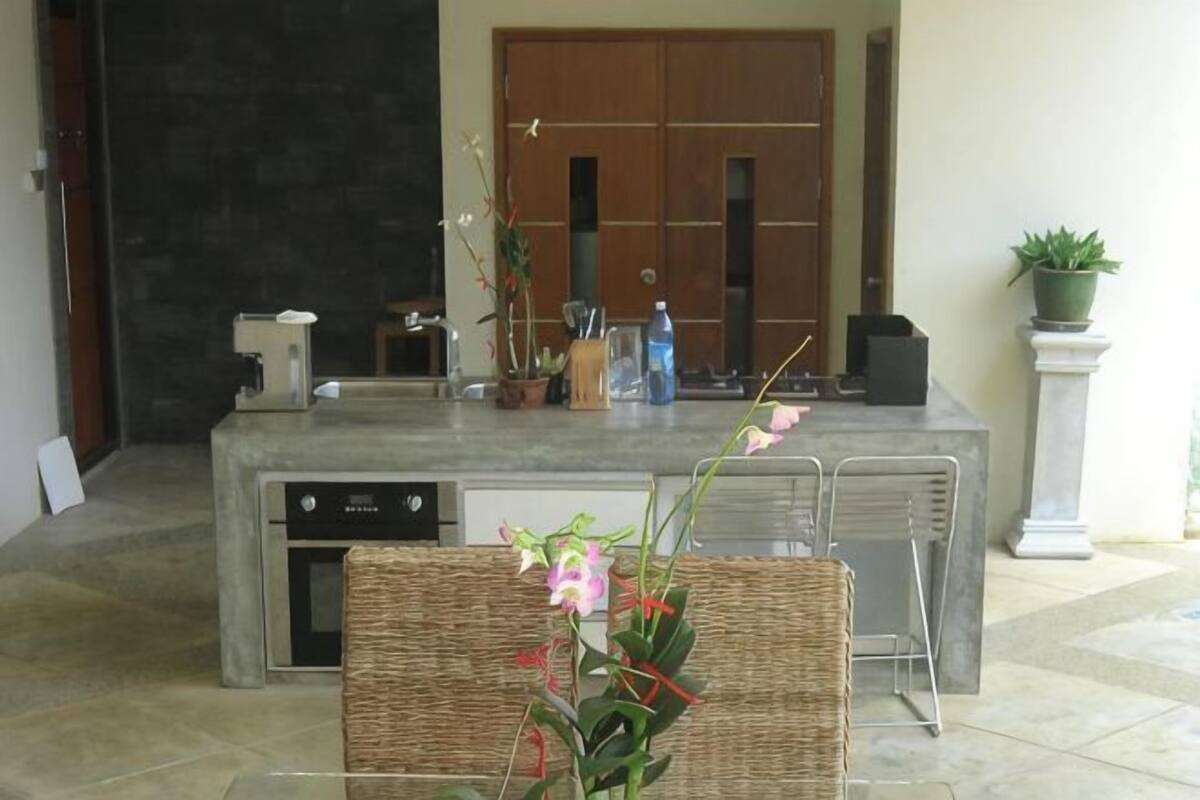 Uma cozinha equipada com lava-louças embutida, cafeteira e um vaso de plantas.