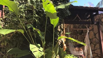 Terrenos do alojamento