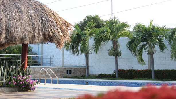 Uma área de piscina com guarda-sol de palha, palmeiras e piscina revestida de azulejos.