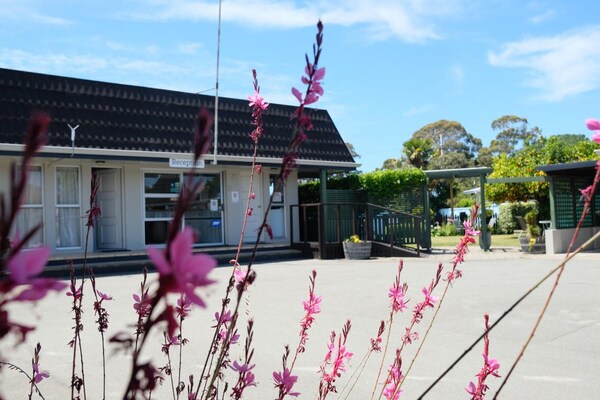 Montana Lodge Motel - Blenheim