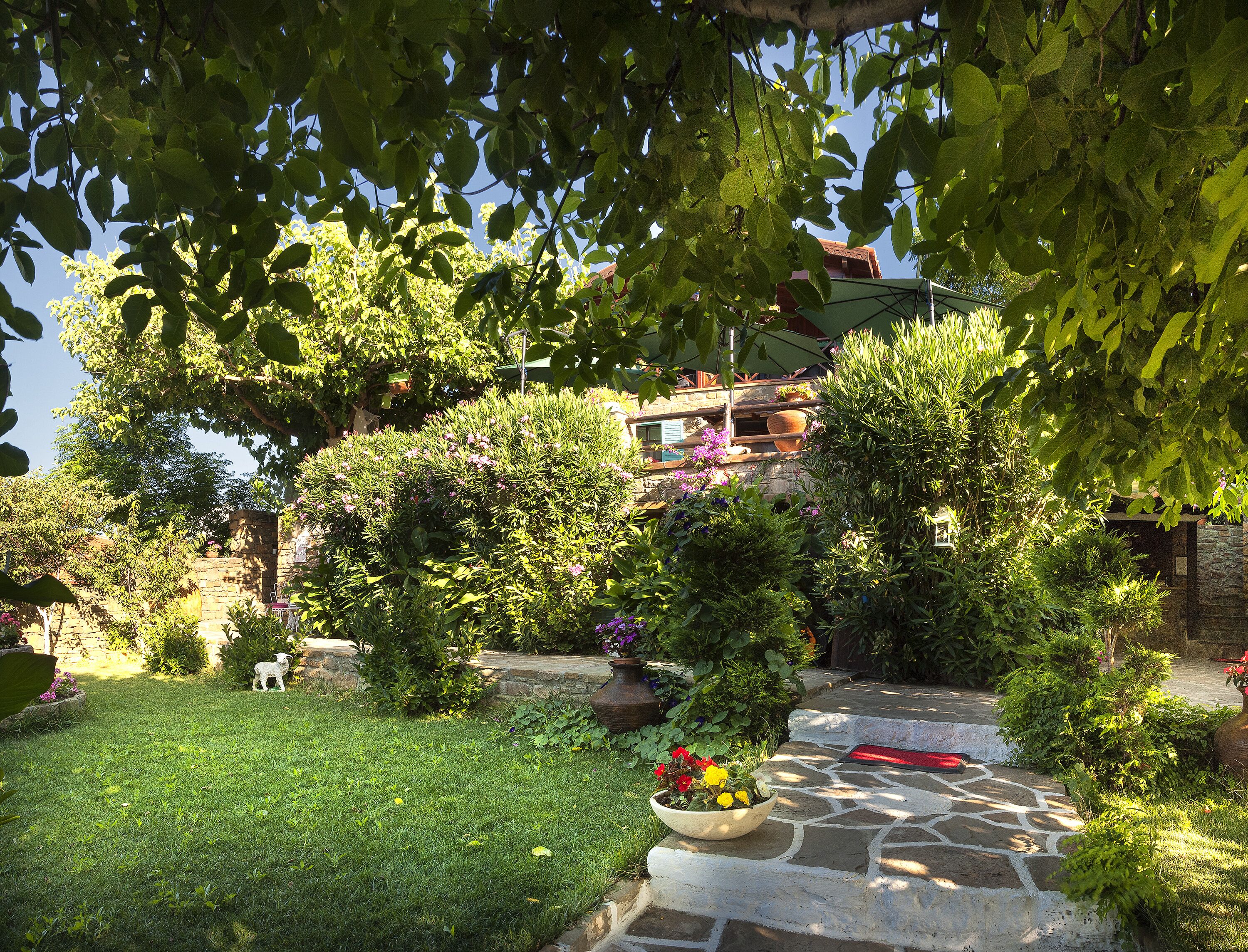 Um jardim com um caminho de pedra, vegetação exuberante e uma casa ao fundo.