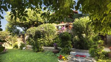 Um jardim com um caminho de pedra, vegetação exuberante e uma casa ao fundo.