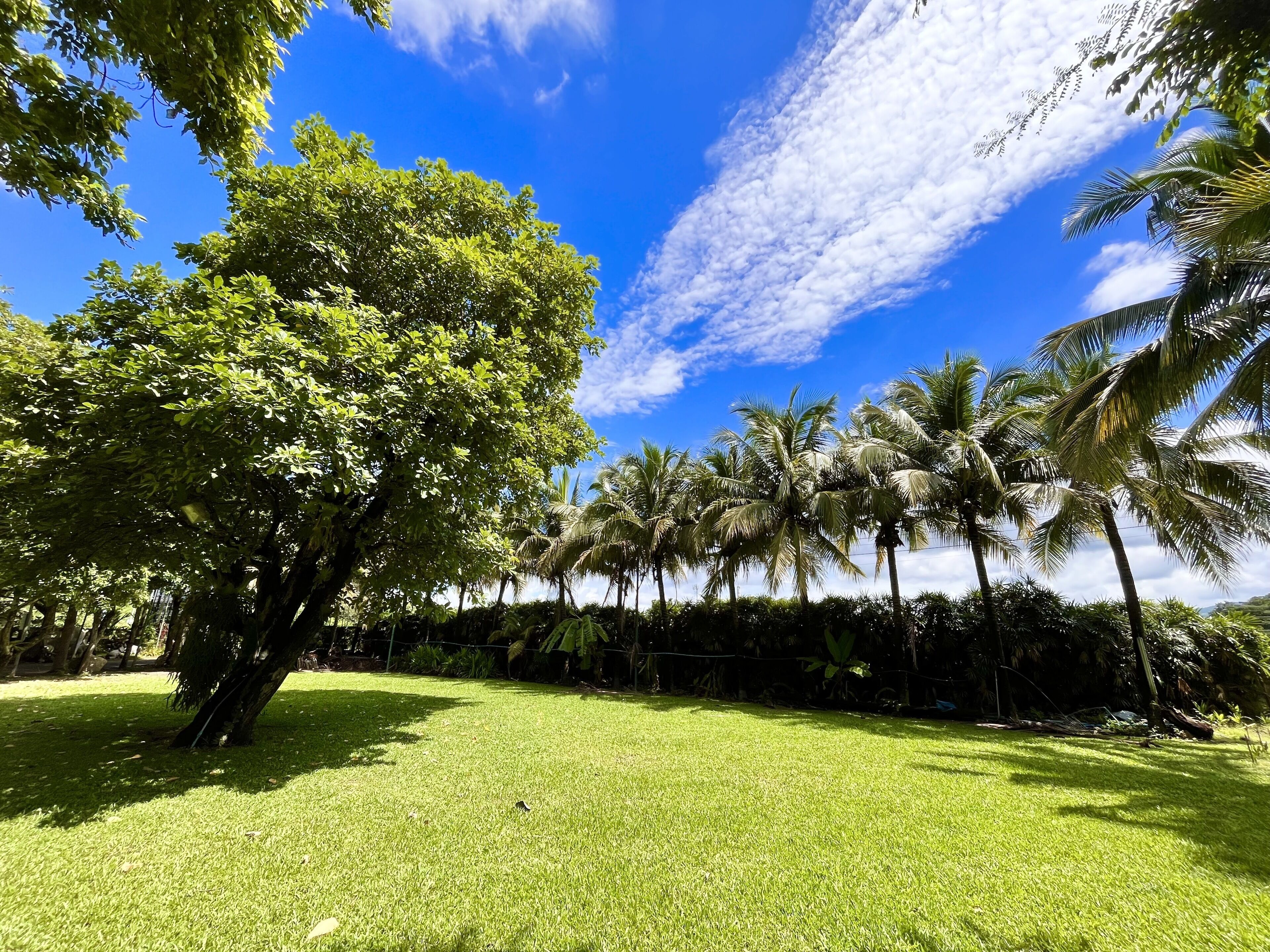 Jardim