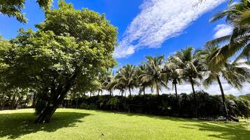 Jardim