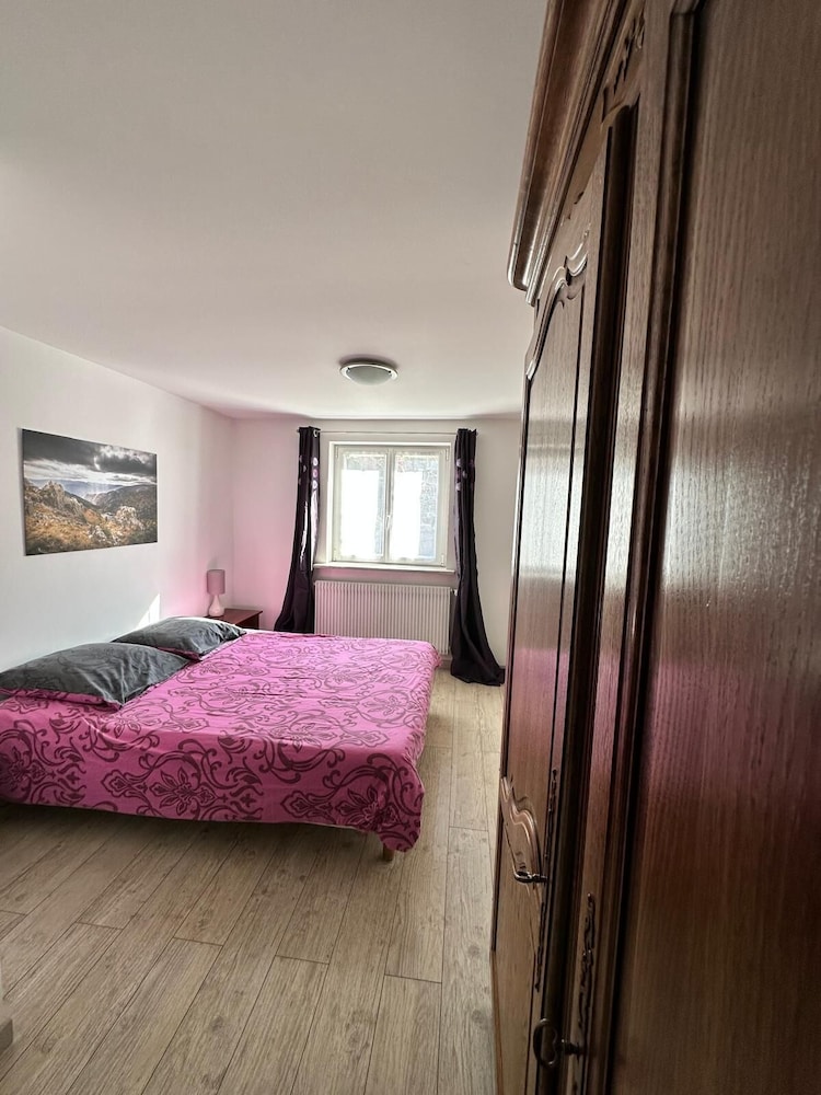 Apartment With Garden In Alsace - Munster