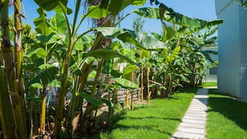 Terrenos do alojamento