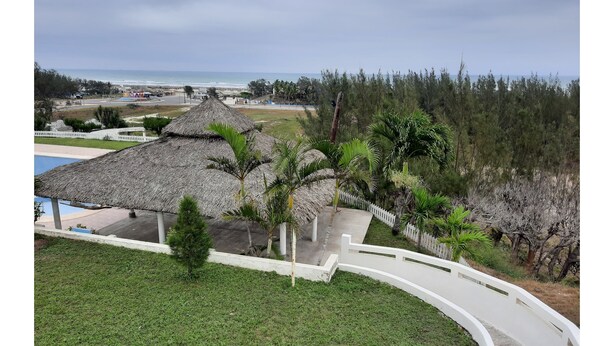 Jardim