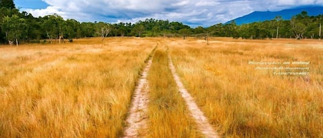 Terrenos do alojamento