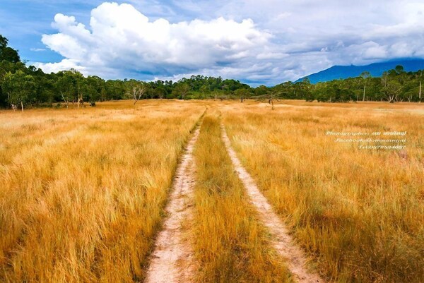 The Camp Resort - Ranong