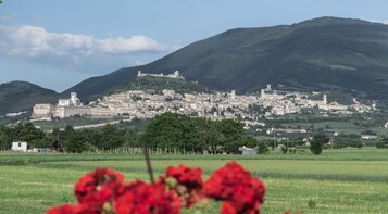 Vista para a montanha