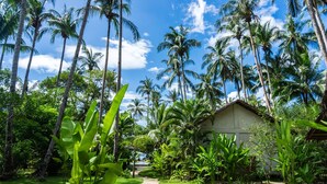 Um resort tropical com um caminho que leva a um edifício rodeado por palmeiras e vegetação exuberante.