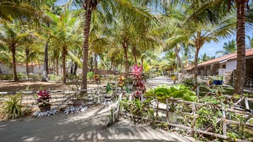 Jardim