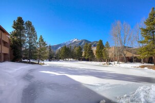 Casa de Férias, 3 quartos | Terrenos do alojamento