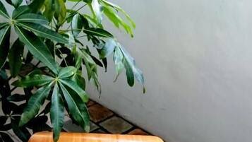 Roupa de alta qualidade, com decoração personalizada