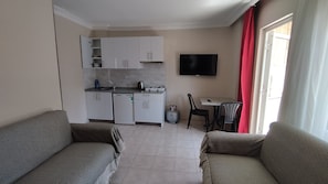 Apartamento, 1 quarto | Cozinha privada | Um frigorífico, uma placa de cozinha, uma chaleira elétrica 
