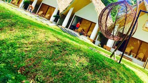 Um resort com bangalôs de telhado de palha, gramado e palmeiras.