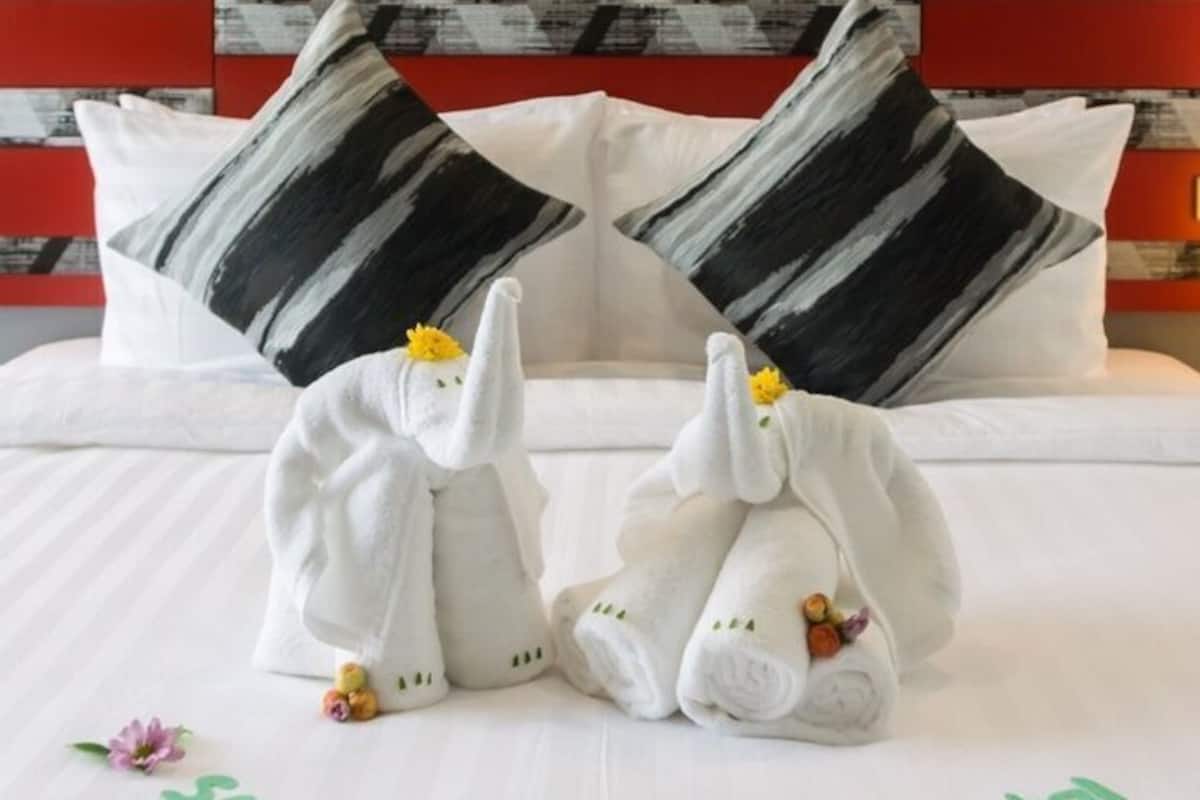 Roupa de alta qualidade, cortinas/cortinados opacos