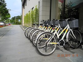 Várias bicicletas estacionadas em frente a um edifício.