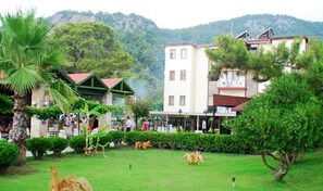 Área da propriedade