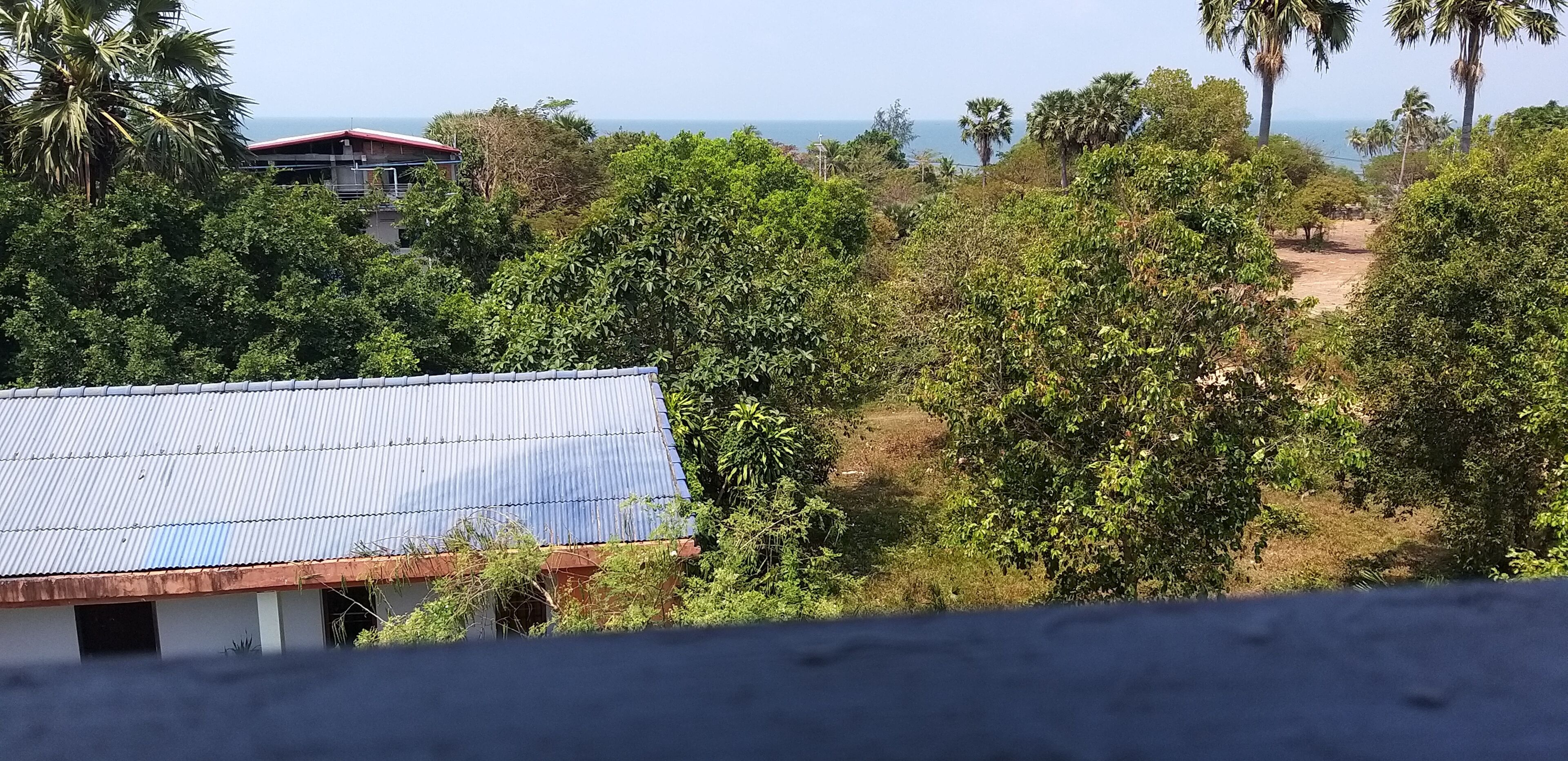 Um edifício com telhado de metal corrugado, rodeado por vegetação densa e palmeiras, com vista clara para o oceano ao fundo.
