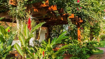 Terrenos do alojamento