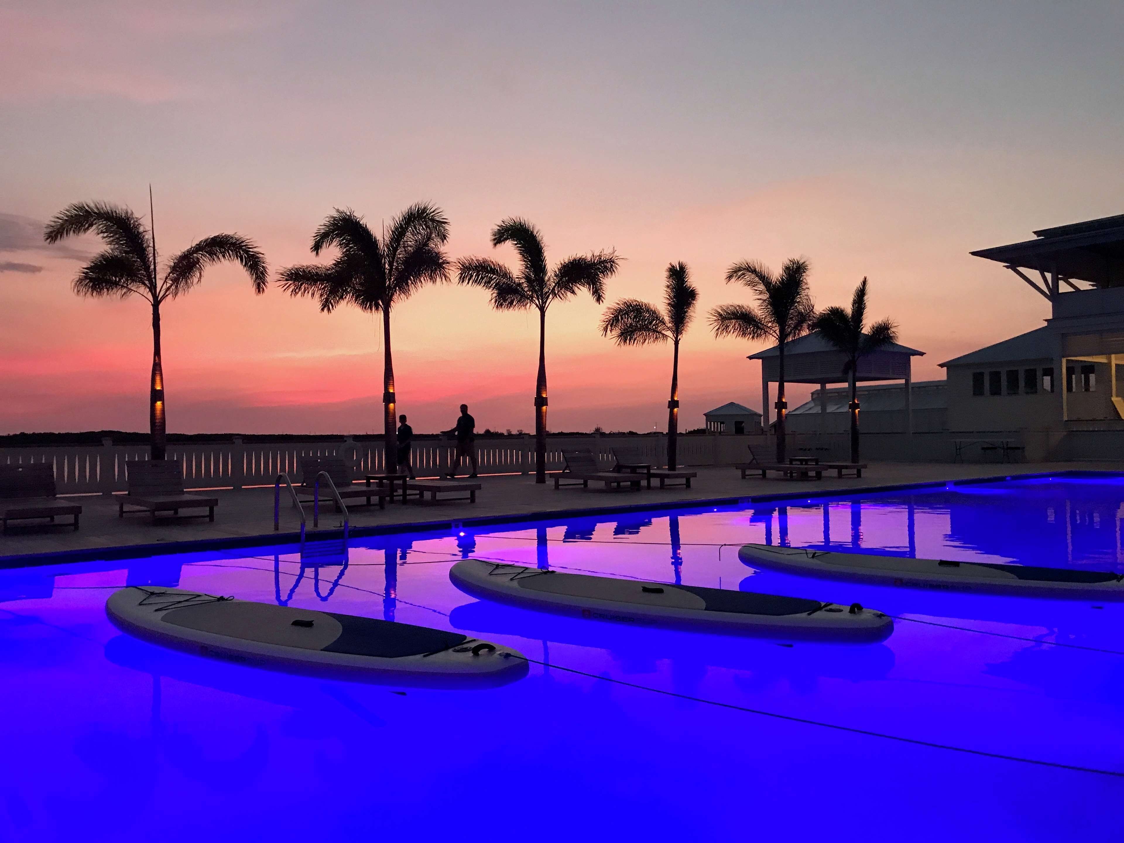 Área de piscina com espreguiçadeiras e palmeiras, com o céu ao fundo em tons de pôr do sol.