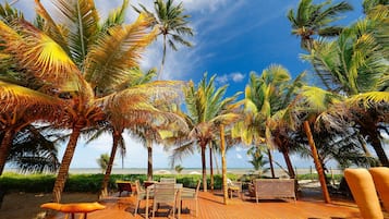 Jardim