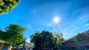 Um pátio ensolarado com uma árvore central rodeada por edifícios.