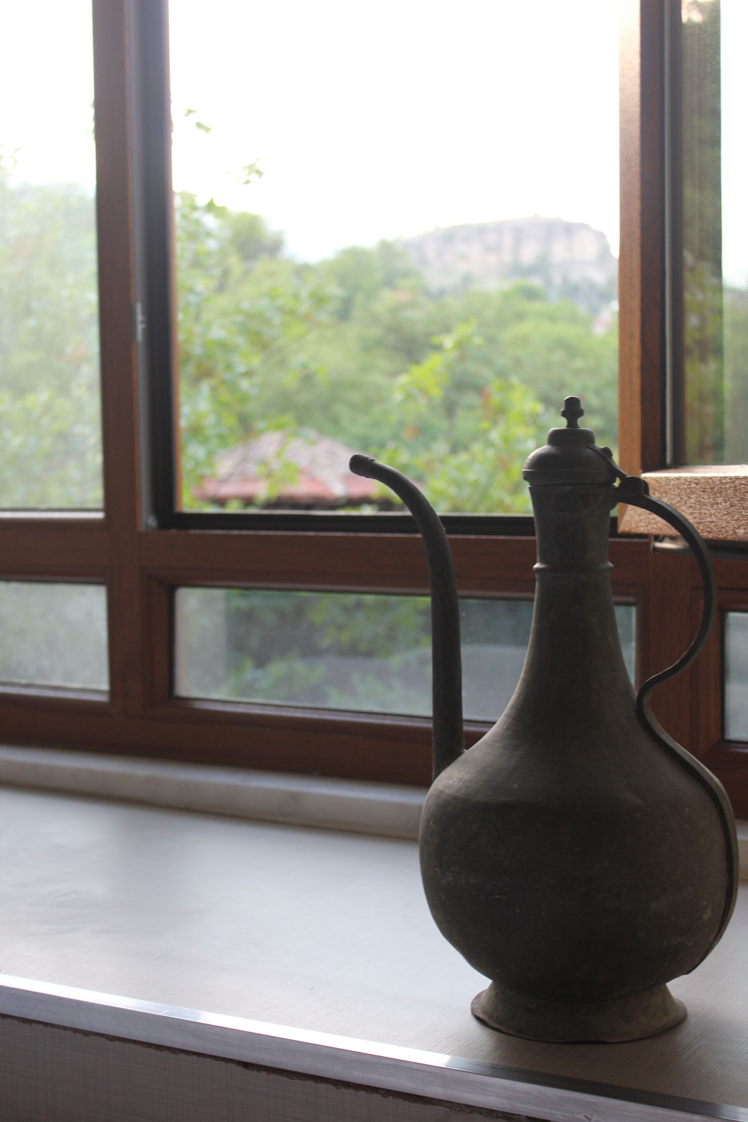Um vaso num peitoril com vista para vegetação e um edifício lá fora.