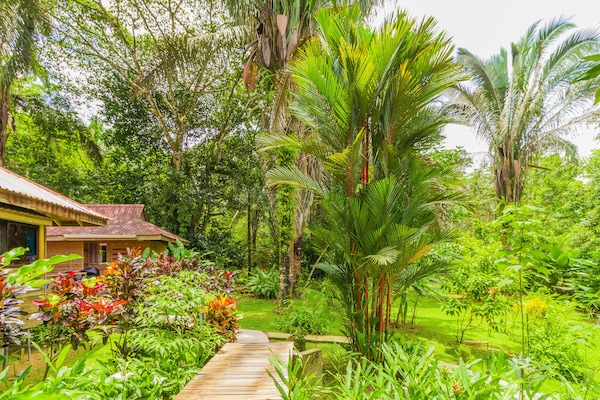 Jardim