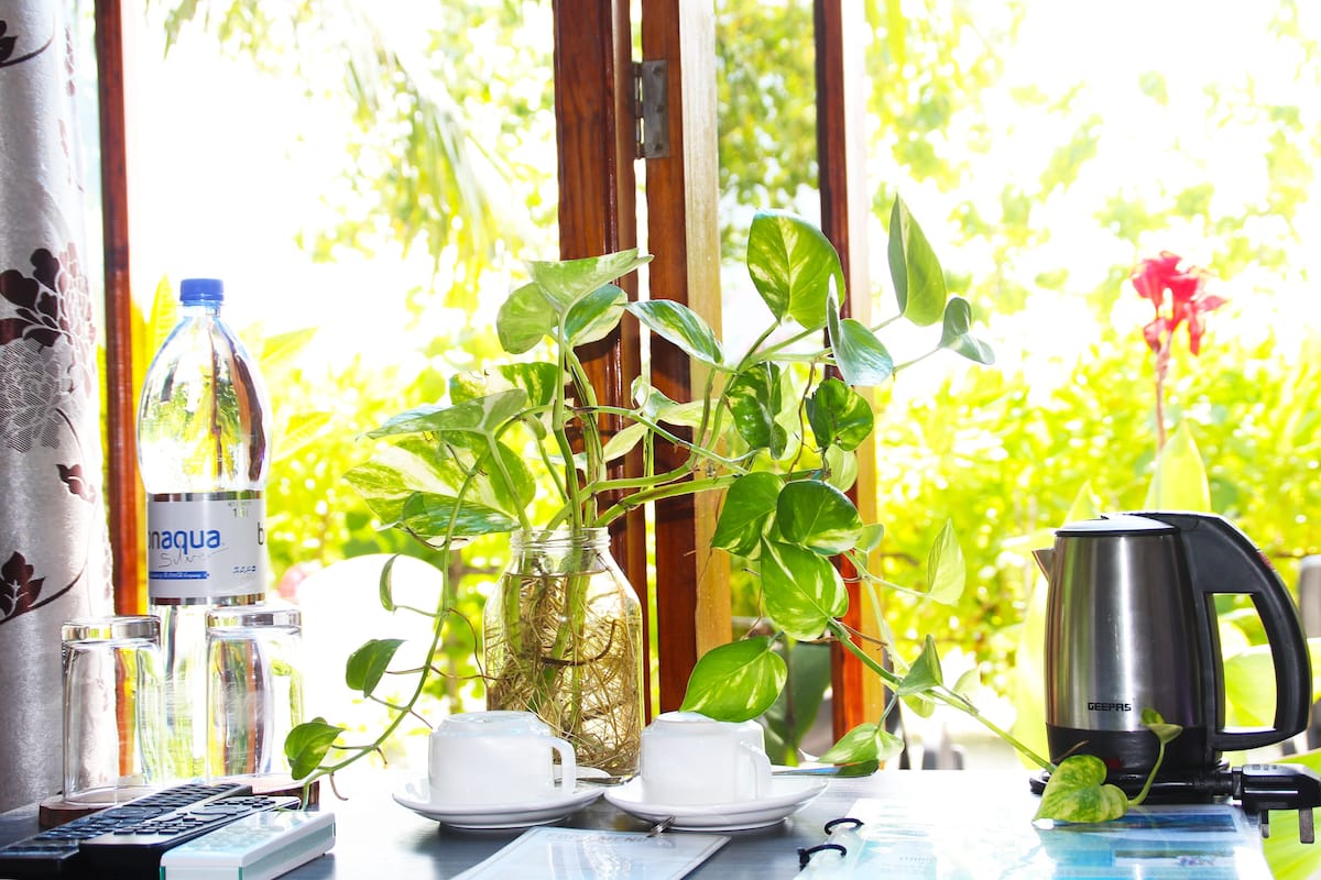 Uma mesa com uma cafeteira, um pote de vidro com uma planta e uma garrafa de água.