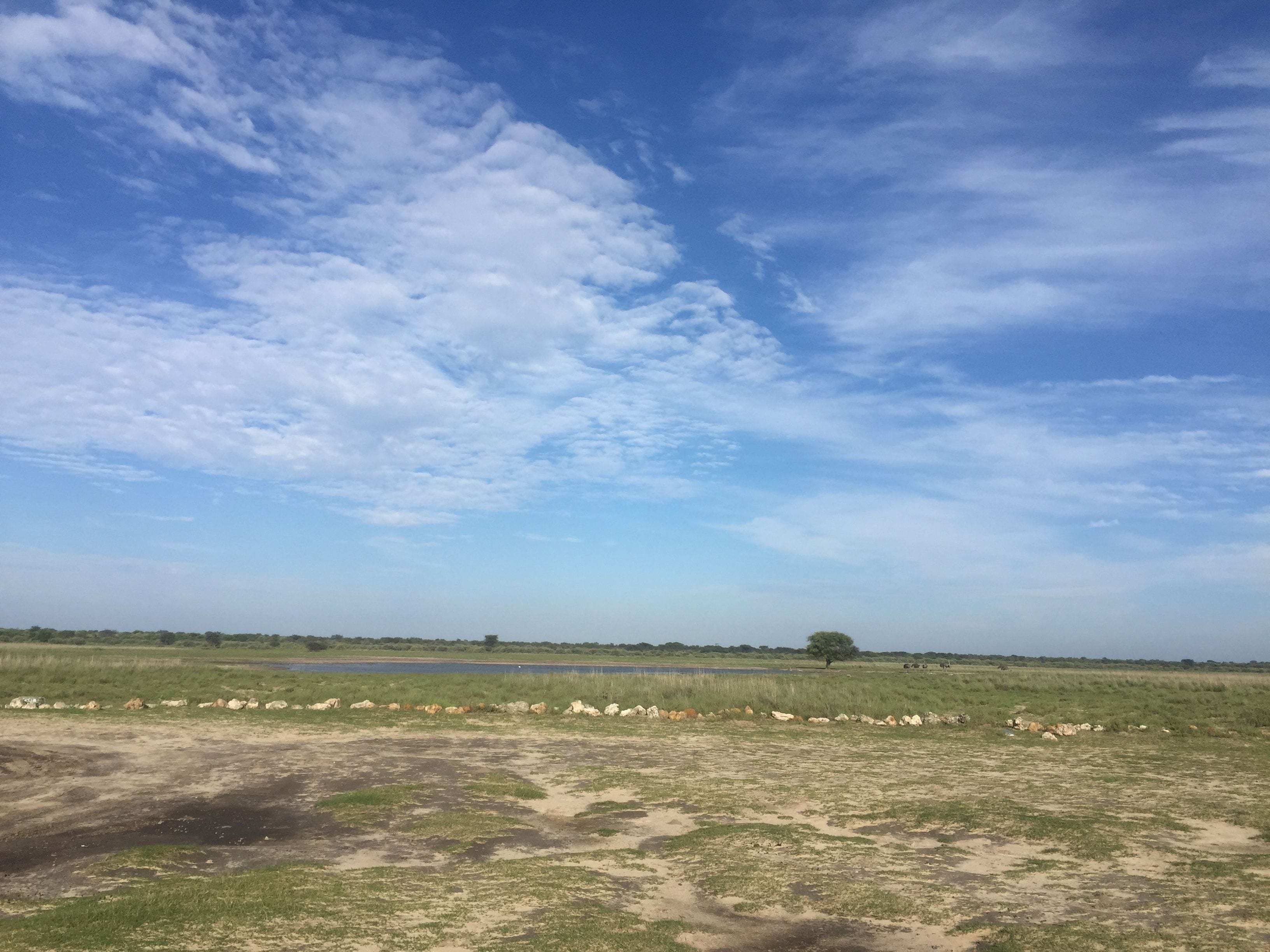 Paisagem extensa com céu claro e uma árvore ao longe.