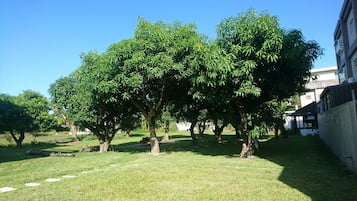 Pátio interior