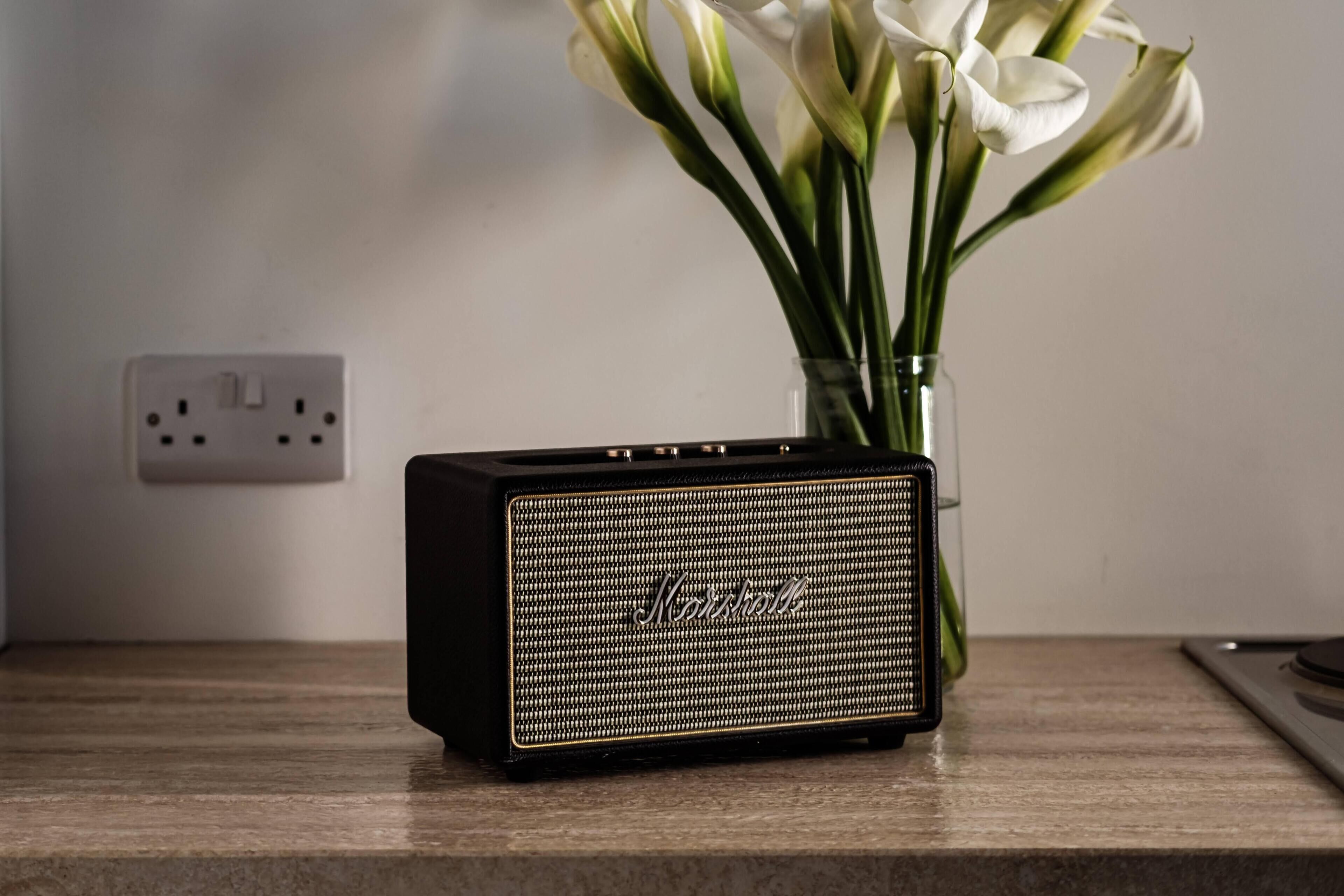 Um amplificador Marshall preto sobre uma superfície de madeira, com um vaso de flores brancas ao fundo.