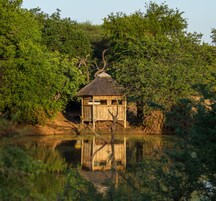 Passeio com observação de animais selvagens