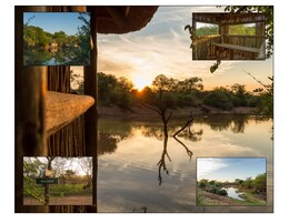 Passeio com observação de animais selvagens