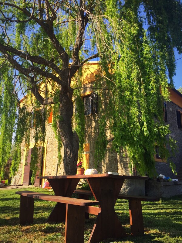 Bed & Breakfast Podere La Pace - Rosignano Marittimo