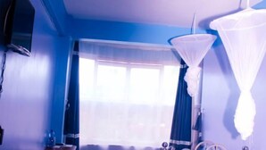 Quarto com uma janela grande, uma cama, mesa de cabeceira e mosquiteiro suspenso.