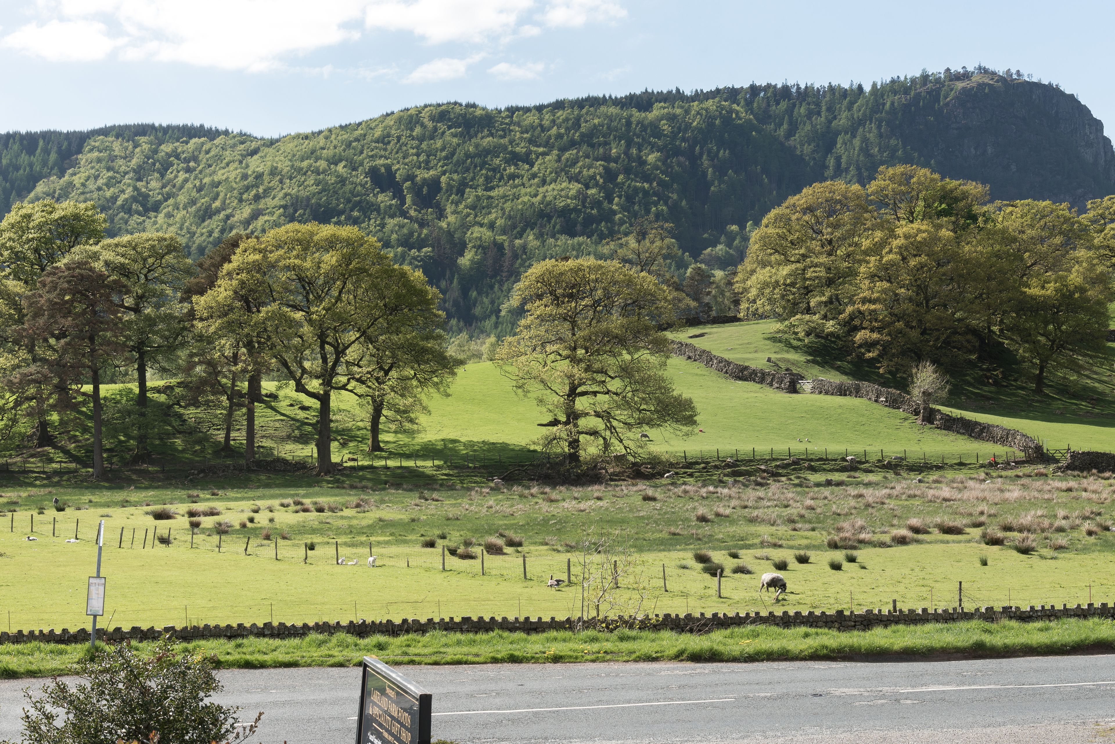 Paisagem rural com muro de pedra, campos verdes e árvores.