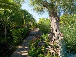 Jardim