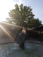 Uma escultura de um cavalo numa fonte, com luz do sol filtrando pelas árvores.